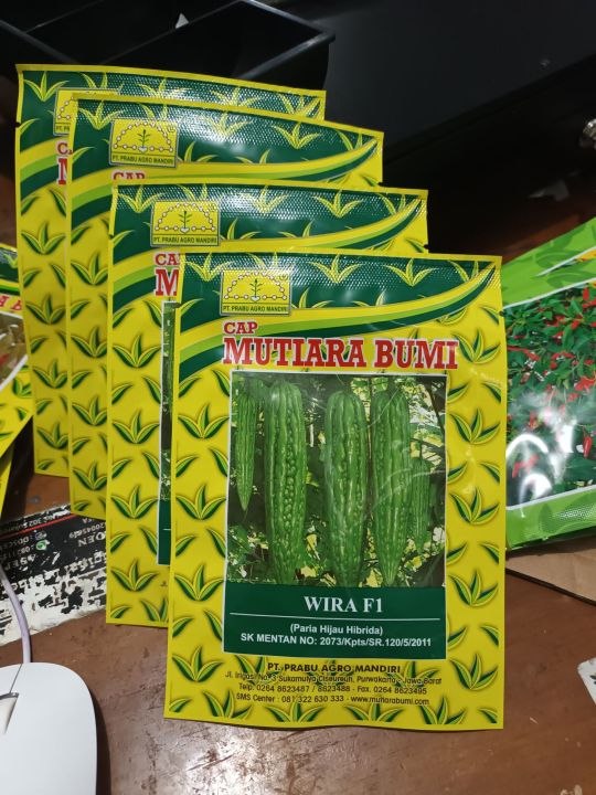Benih PARIA HIJAU HIBRIDA WIRA 10 GRAM | Lazada Indonesia