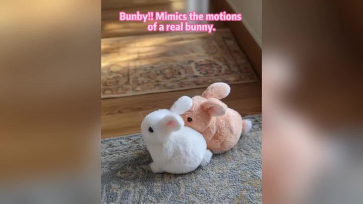 Fanyil Bunnypal, Sherum Bunnypal, Vianys-Petsboro Bunnypal, 2025 My ...