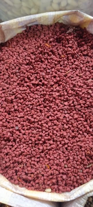 01 kg atsuete seed ( atchuete anato seeds ) | Lazada PH