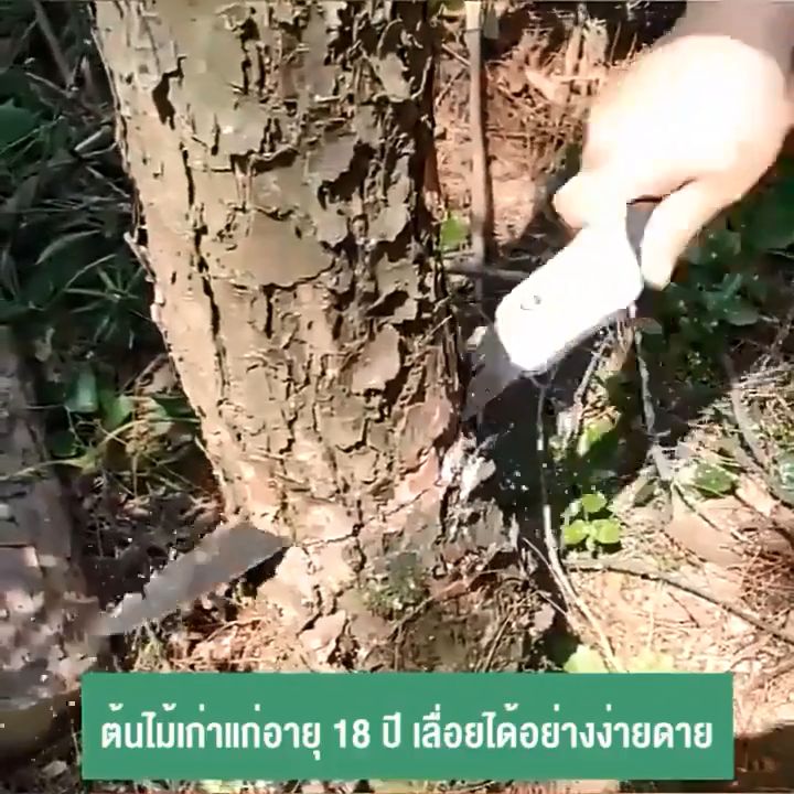 เลื่อยมือ เลื่อยตัดไม้พับได้sk5 63CM เลื่อยพับได้ เลื่อยตัดกิ่ง เบื่อยมือ เลี่อยตัดไม้เลื่อย ...