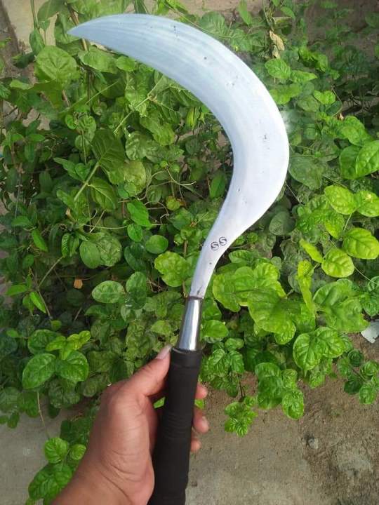 sabit rumput Madura cap SS | Lazada Indonesia