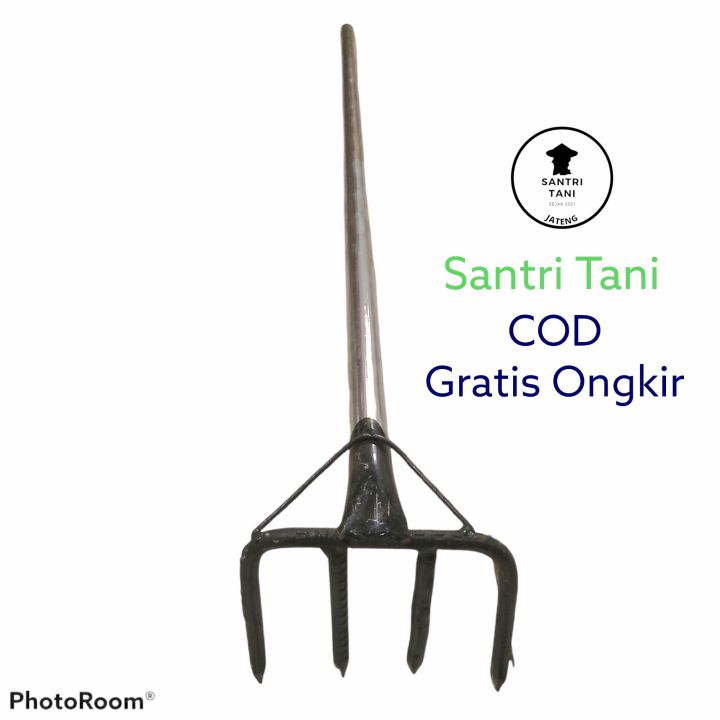 GAGANG BESI GARPU - Rumput Sampah Garuk - Taman Kerek Besi | Lazada ...