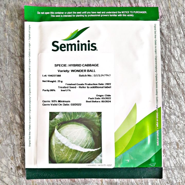 WONDER BALL F1 HYBRID CABBAGE SEEDS (25 GRAMS) WONDERBALL by SEMINIS ...