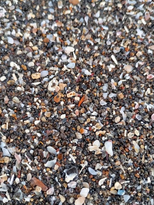 1 kg Pasir kerang Halus/pasir kerang kasar/pasir pantai/pasir silika ...