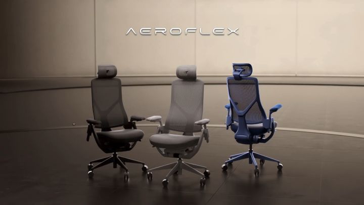 TT Aeroflex Ergochair Home Office Mesh Chair Executive Ergonomics Chair ...