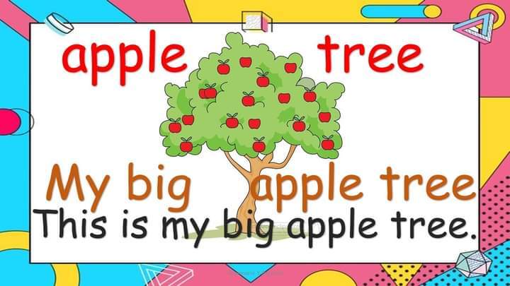 Grade 1 Beginning Word, Phrases, & Sentences (43 pages) free bookbind ...