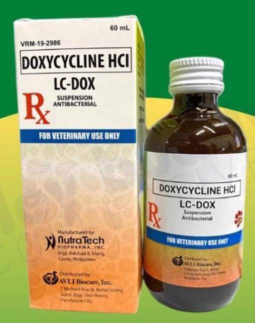 LC-DOX Suspension Antibacterial /120ML for Cats and Dogs | Lazada PH