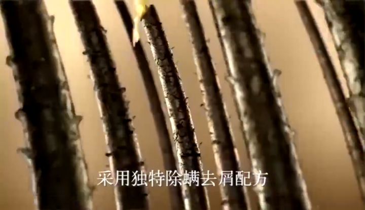 【BUY 1 TAKE 1】AZLA Coconut Oil Moisturizing Hair Care Dandruff Shampoo Refreshing Oil Control ...