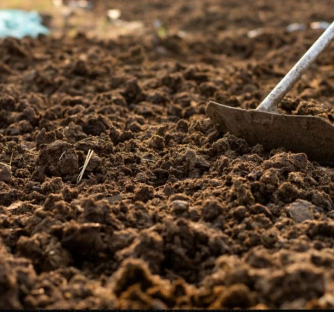 carabao/cow manure | Lazada PH