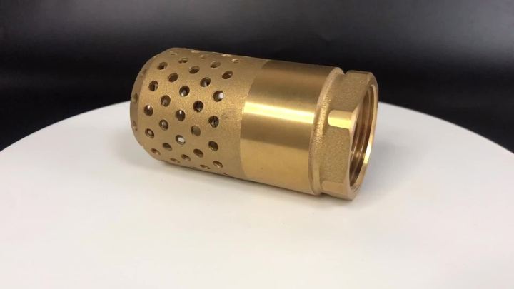 Foot Pump Brass Foot Valve, 2 Inch NPT Brass Female Spring Check Valve ...