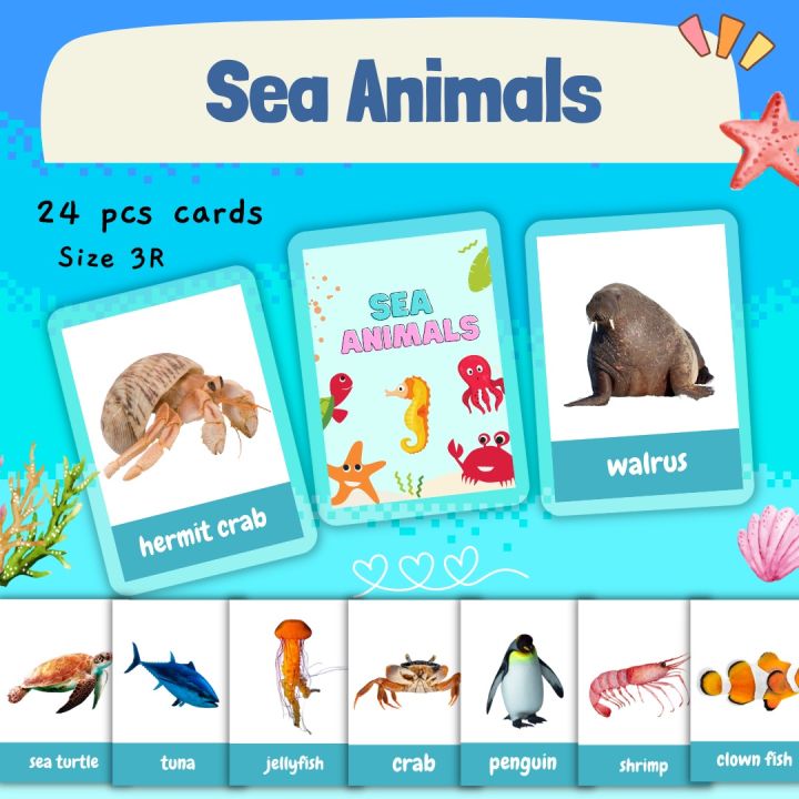 Wild animals sea farm insects identification flashcards laminated ...