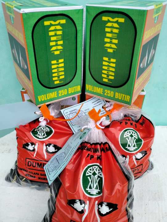 benih kecambah sawit jenis marihat | Lazada Indonesia