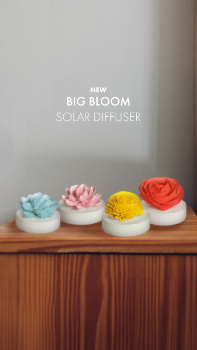 Hysses Big Bloom Diffuser Maroon Pink, Palmarosa Jasmine 200ml | Lazada ...