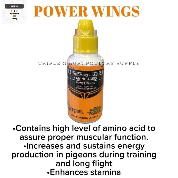POWER WINGS for pigeon 15ml | Lazada PH