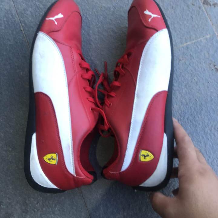 sepatu puma x ferarri | Lazada Indonesia