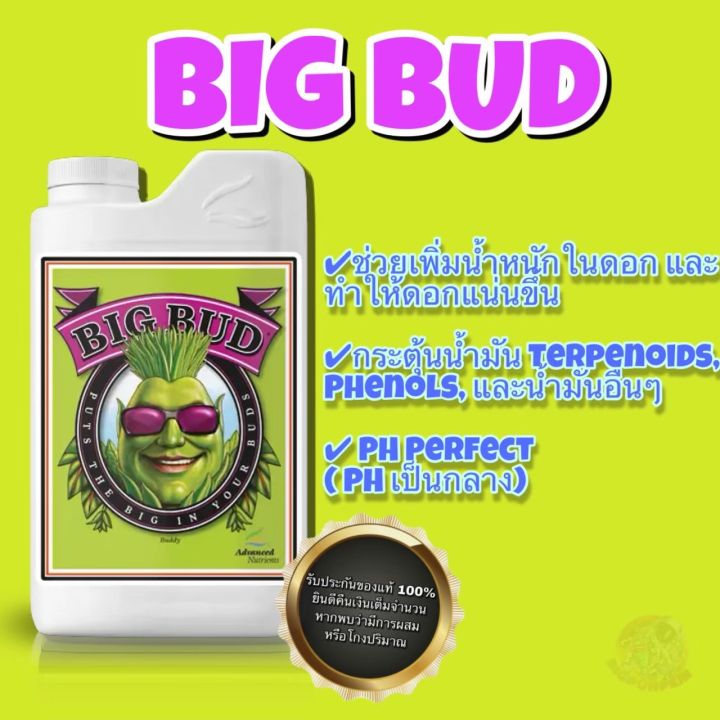 Big Bud !!! (ปุ๋ยเสริมดอก ที่ได้รับความนิยมอย่างมากจาก USA) | Lazada.co.th