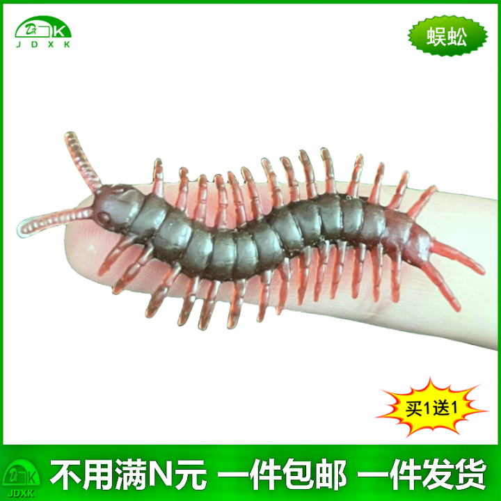 Artificial Five Poison Small Centipede Leghul Early Childhood Education ...