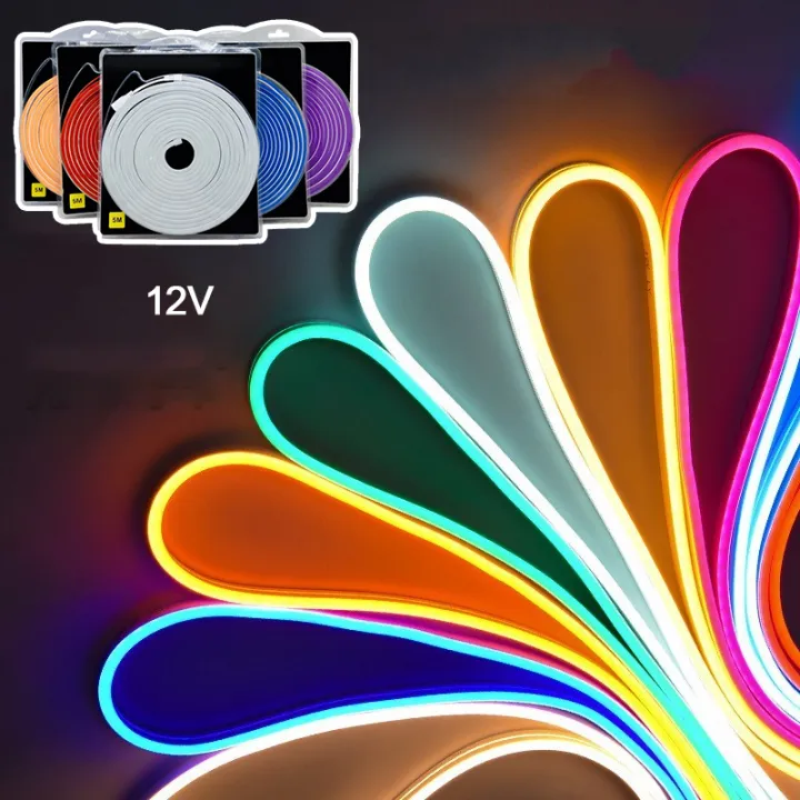 5m Waterproof LED Flexible Light Strip,12v Outdoor Neon Light Strip,DIY ...