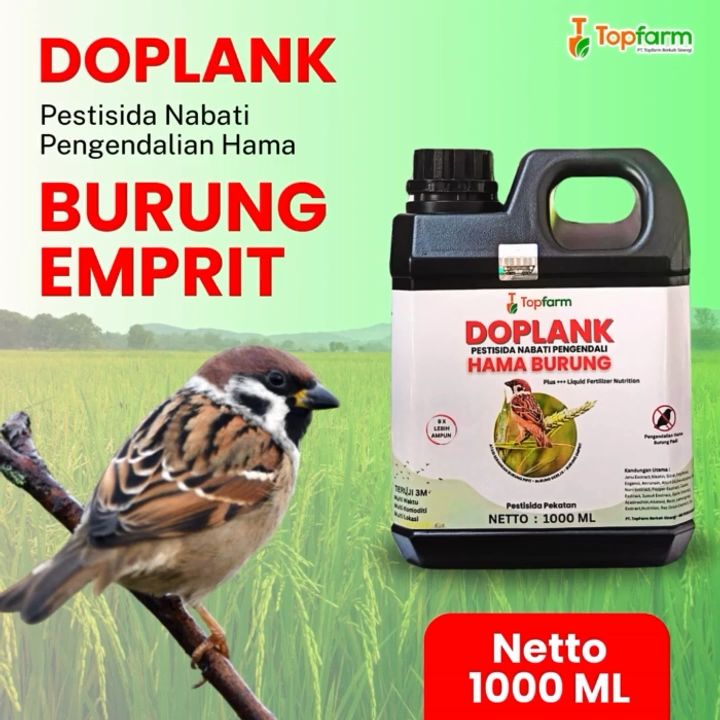 Pestisida Topfarm / Obat Pembasmi Burung Pada Padi / Obat Padi Hama ...