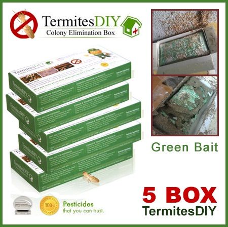 Original Termites DIY Colony Elimination Baiting Box (5box) | Lazada