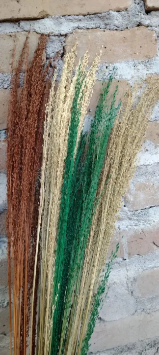 GROSIR greengress bunga kering rustic DESORASI RUMAH aesthetic | Lazada ...