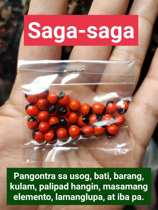 Saga Saga pangontra Usog, bati, etc | Lazada PH