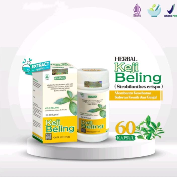 Keji Beling Tazakka Obat Herbal Untuk Penderita Batu Ginjal Original ...