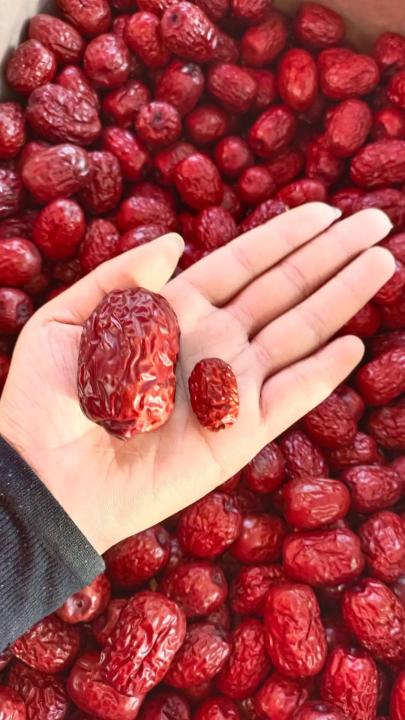 新疆红枣 大粒有籽 100克 XINJIANG RED DATES large with seeds 100g | Lazada