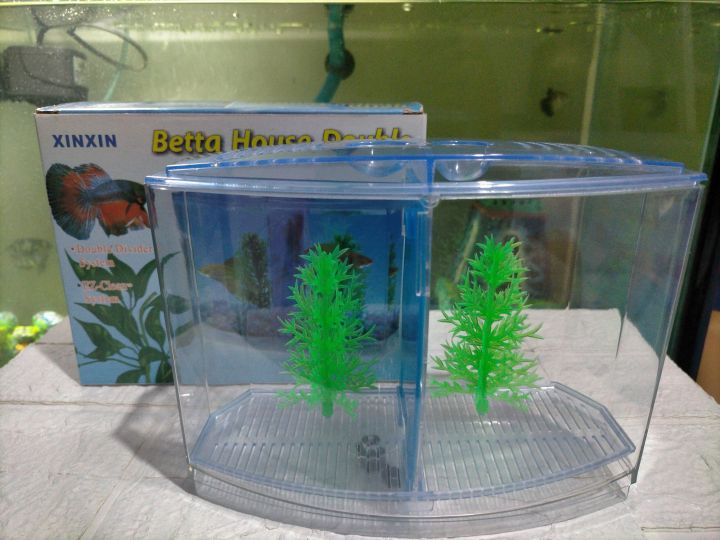 Betta House Double | Lazada PH