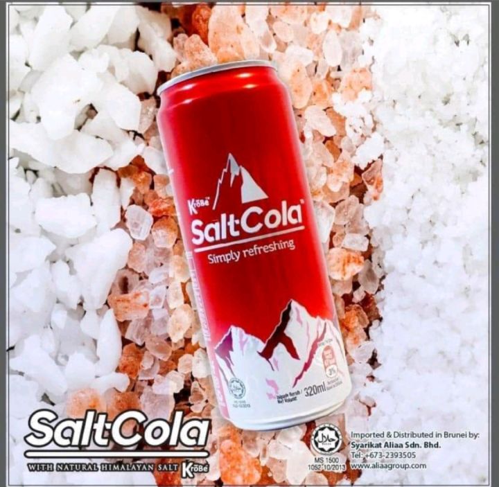 (1กระป๋อง) Salt-Cola HIMALAYAN โค้กเกลือหิมาลายัน ขนาดกระป๋อง320มล. ...