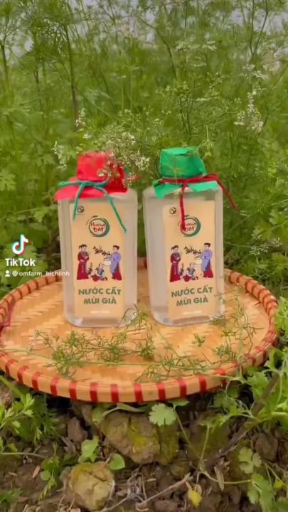 Nước cất Mùi già BẢN NHIÊN, OmFarm - Tắm tất niên, Bao sái bàn thờ ...