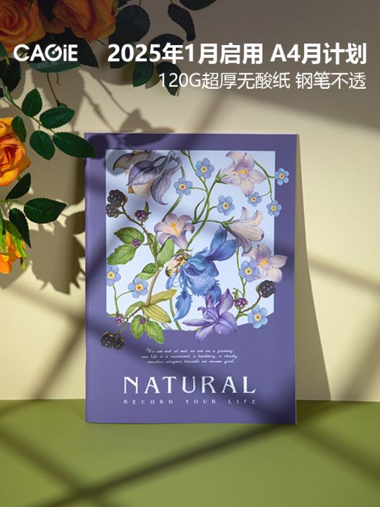 Creative Self-Completion A4 Daily Planner Notebook High Aesthetic Value ...