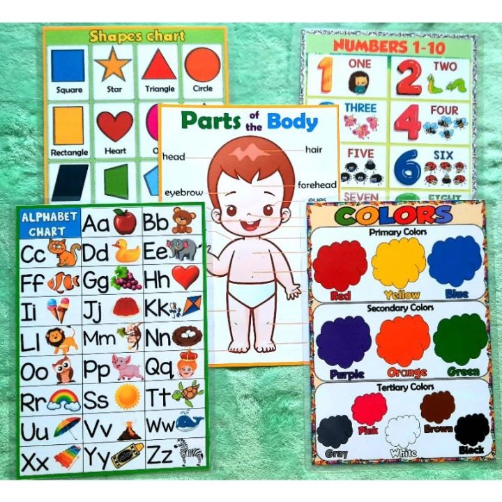 Educational Laminated Charts A4 size BUNDLE DEALS | Lazada PH