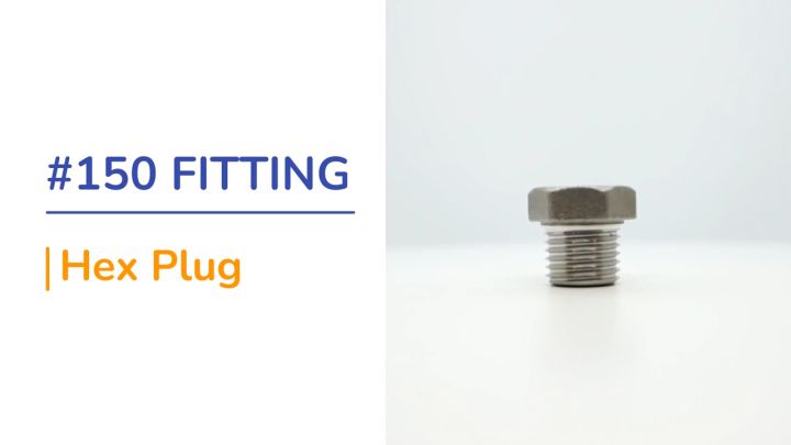 Stainless Steel SS316 Hexagon Plug Fitting 1/8” to 4” NPT/BSPT Male ...