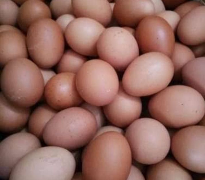 Telur Ayam Negeri 1 tray isi 30 butir | Lazada Indonesia