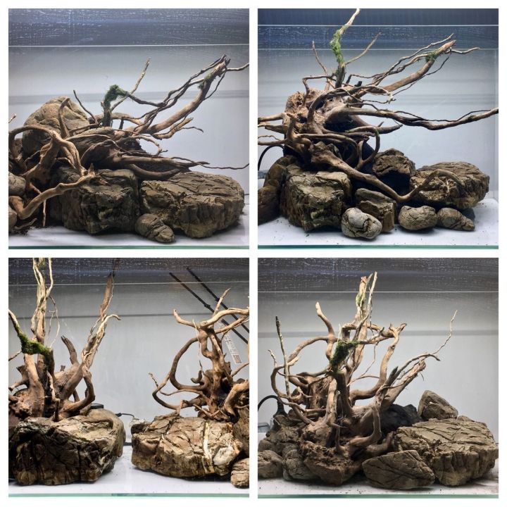 tweety wood tree design for aquarium for 2.5 to 15gal. (without moss ...