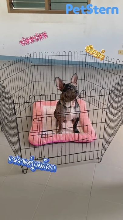 PetStern🐱คอกสัตว์เลี้ยง ไซซ์ S (1ชุด มี6ชิ้น) ประกอบง่าย คอกกั้นสุนัข ...