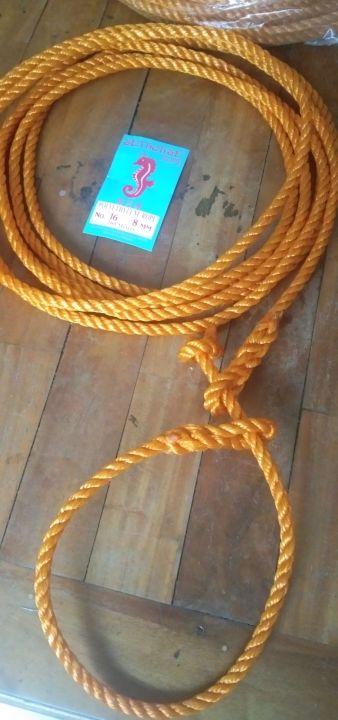 Goat string with collar (tali ng kambing) nylon rope | Lazada PH