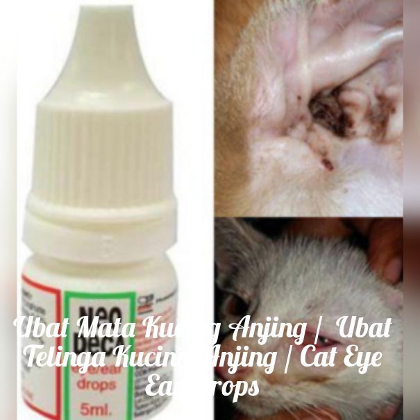 UBAT CUCI TELINGA SAKIT TELINGA & SAKIT MATA | Lazada