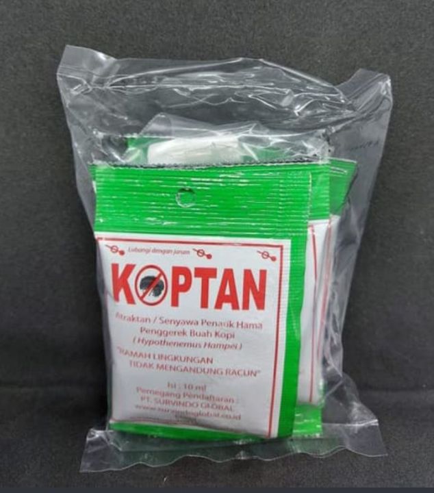 Koptan Atraktan/ feromon penarik hama buah kopi/ penggerek buah kopi ...