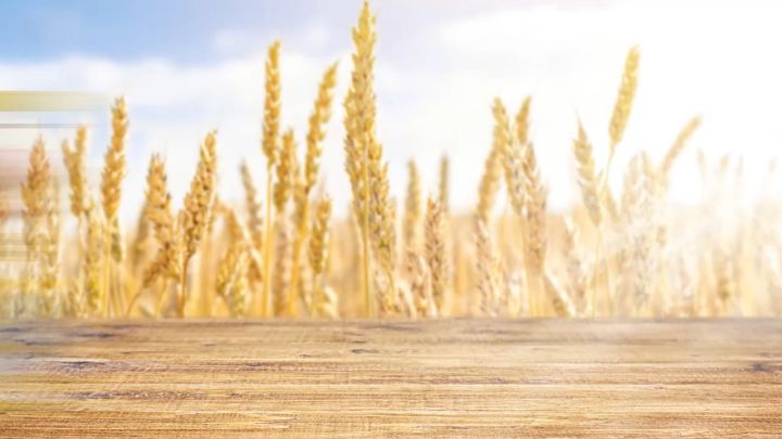 Healyn Canxi Gold Original 400g Premium Joint & Bone Colostrum Milk ...