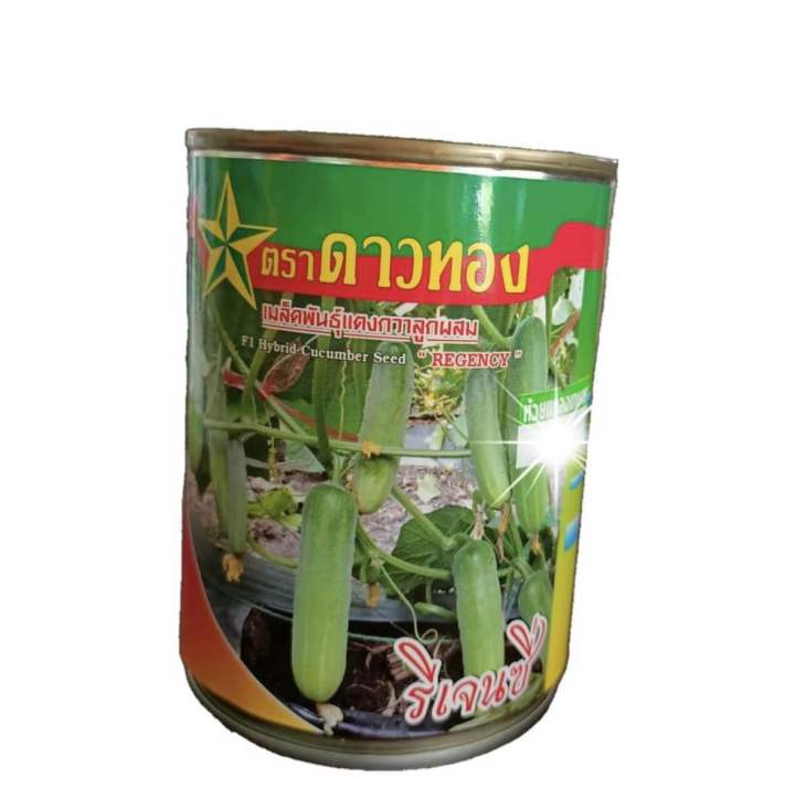🥒เมล็ดพันธุ์แตงกวารีเจนซี่🥒ขนาด100กรัม ตราดาวทอง⭐(ส่งฟรี) | Lazada.co.th