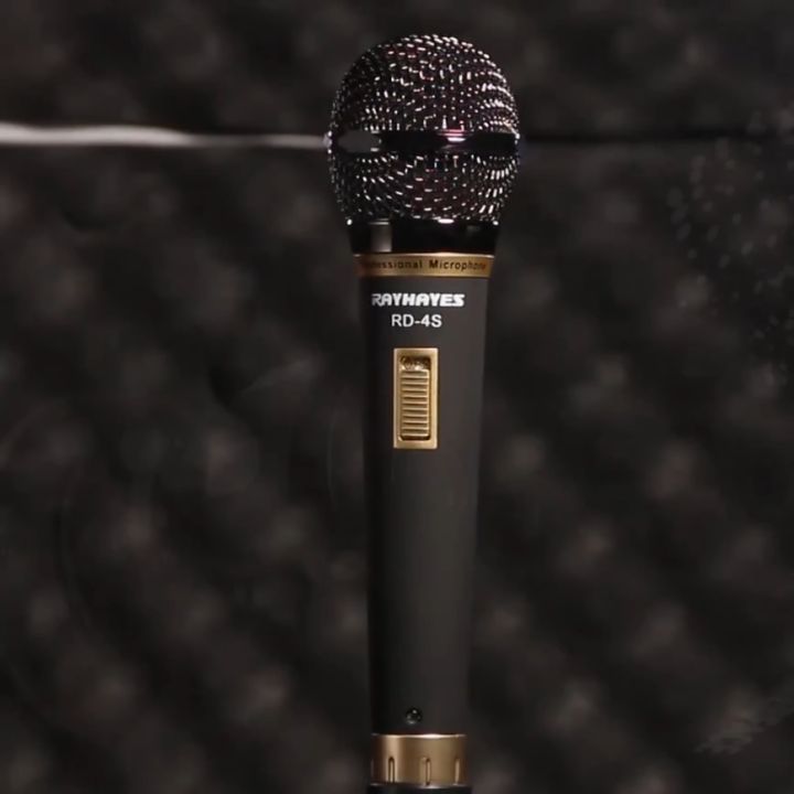 RAYHAYES dynamicwired Microphone Professional Mic With 2.5 Meters Wire ...
