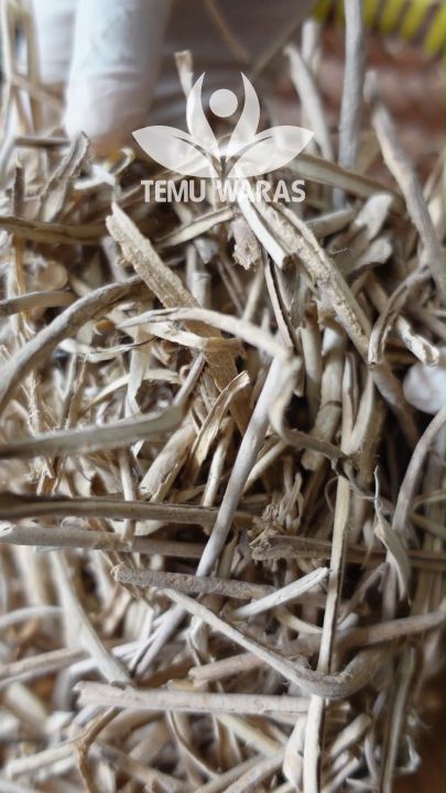 Kulit Kayu Pulosari 250gr / Pulasari / Palasan atau Pulowaras Grade A ...