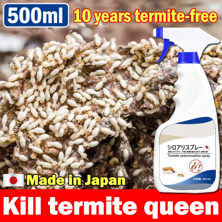 No termites forever‼ CM termite killer termite spray 白蚁喷雾 500ML Spray a ...