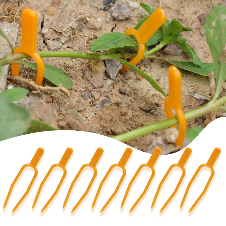 10/30/50Pcs Plastic Plant Vine Climbing Fixing Clips for Flower ...