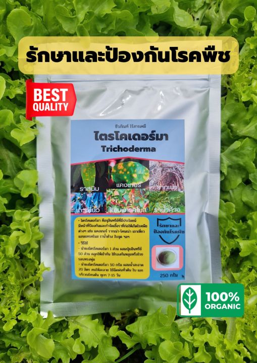 ไตรโคเดอร์มา Trichoderma 100,250 กรัม รักษาโรคพืช กำจัดโรคพืช ป้องกัน ...
