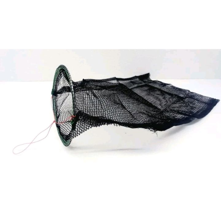 KOJA IKAN WARING | Lazada Indonesia