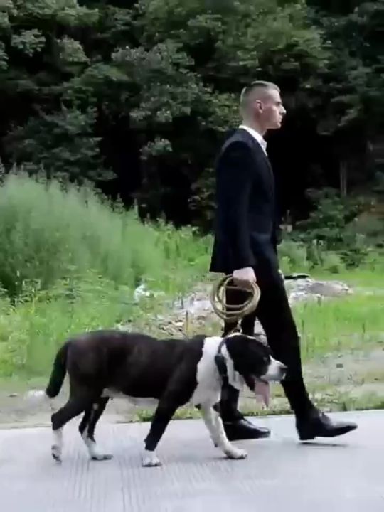 security expandable steel stick adjustable expandable Telescopic ...