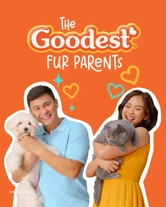Goodest Dog Wet 80g Pack of 12 (Beef and Liver, Grilled Chicken and ...